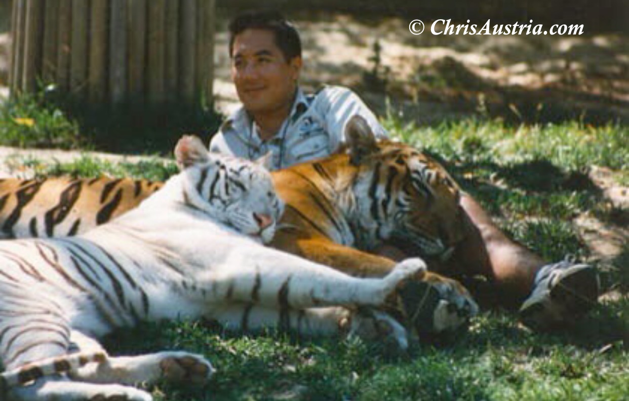 My Life With Tigers and Lions – Chris Austria